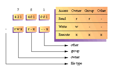 Introduction to HP-UX:File System Related Commands