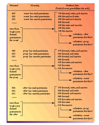 Introduction to HP-UX:File System Related Commands